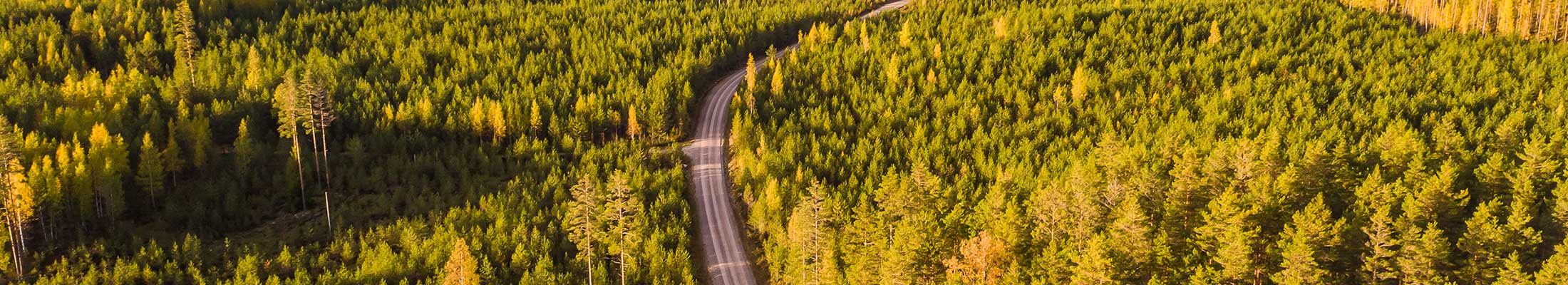 Developing sustainable biographite with CarbonScape to meet the fast ...