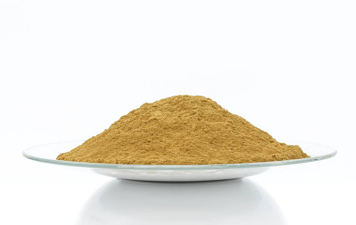 The many applications of lignin: bio-asphalt