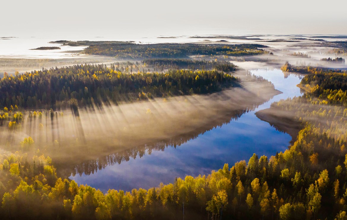 Annual Report - Investors | Stora Enso