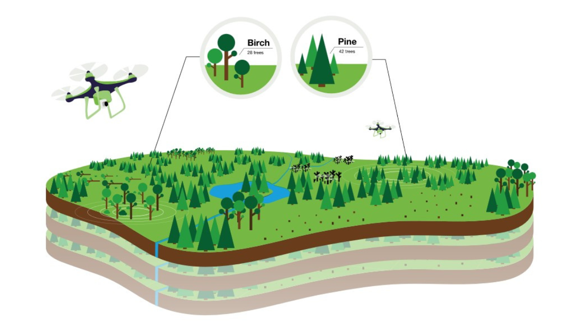 5 ways to enhance forest management with Precision Forestry