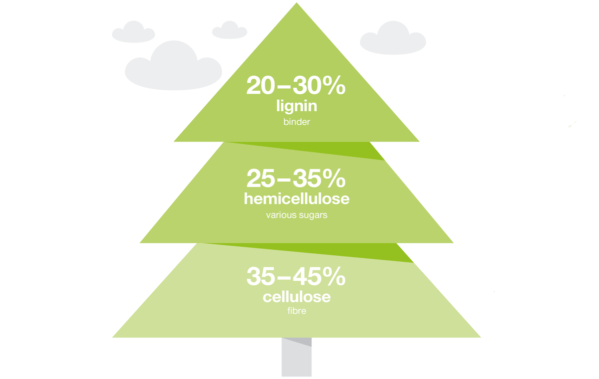 Lignin - Products | Stora Enso