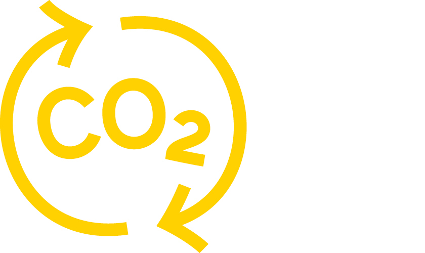 Shaping the future of renewable packaging