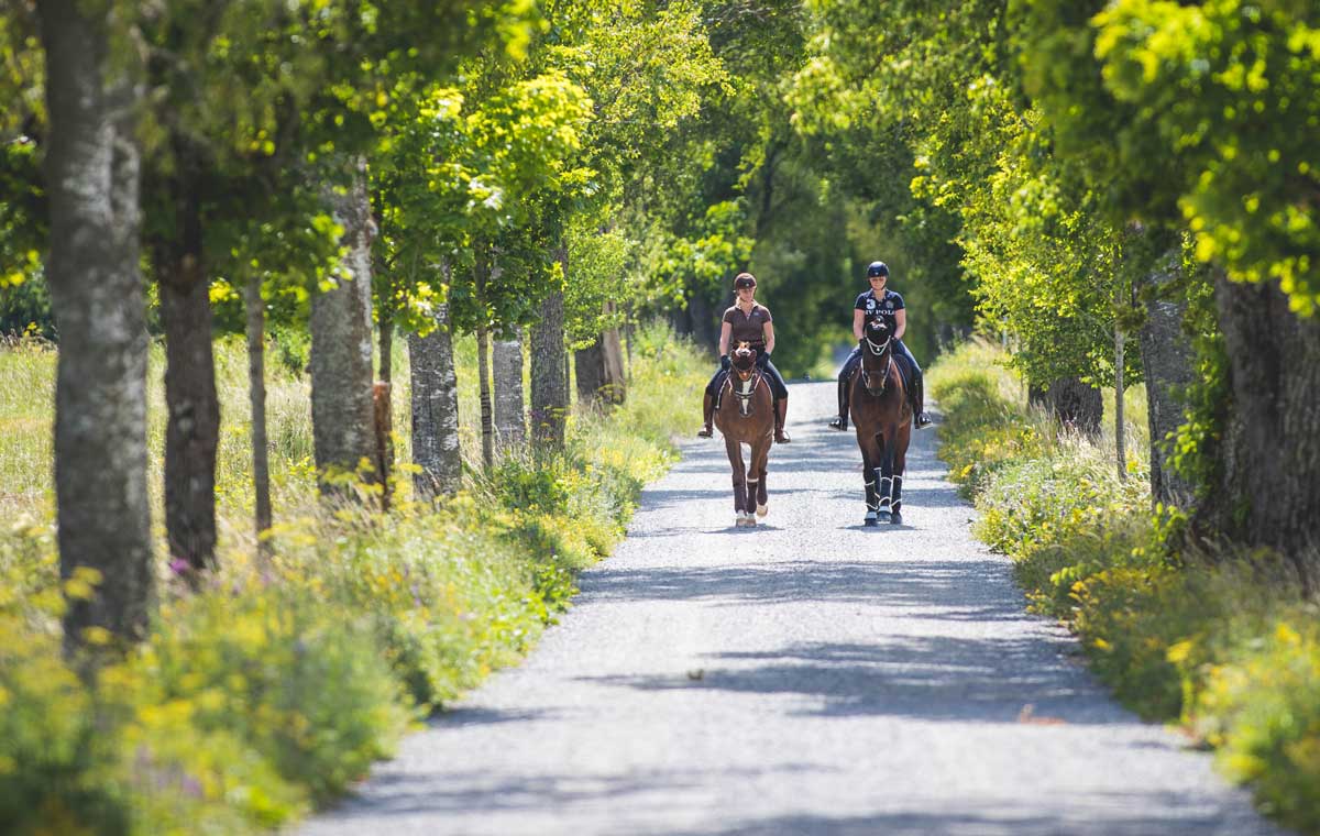 Benefits and testimonials