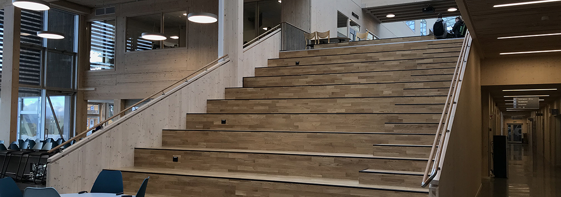 Romsdal High School Molde, Norway
