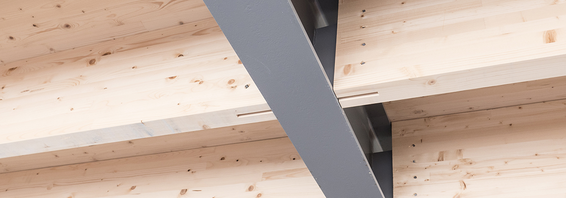 ANSES ANMV Headquarter